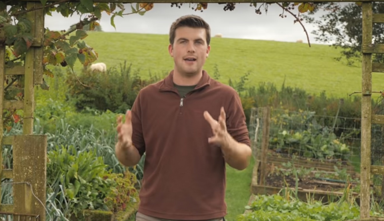Dig For Victory! Welsh Food Grower With Over 180,000 Subscribers Shows ...